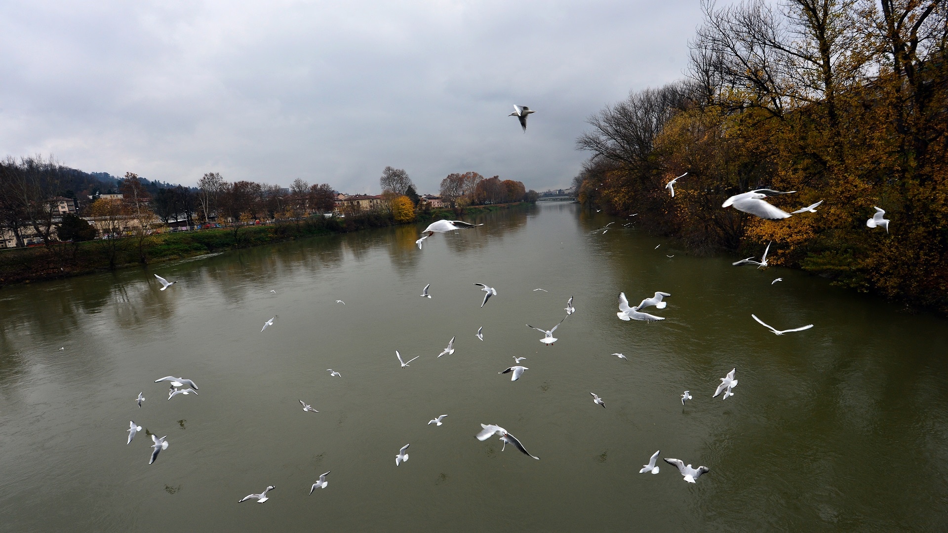 Il Po | Geografia | Rai Scuola