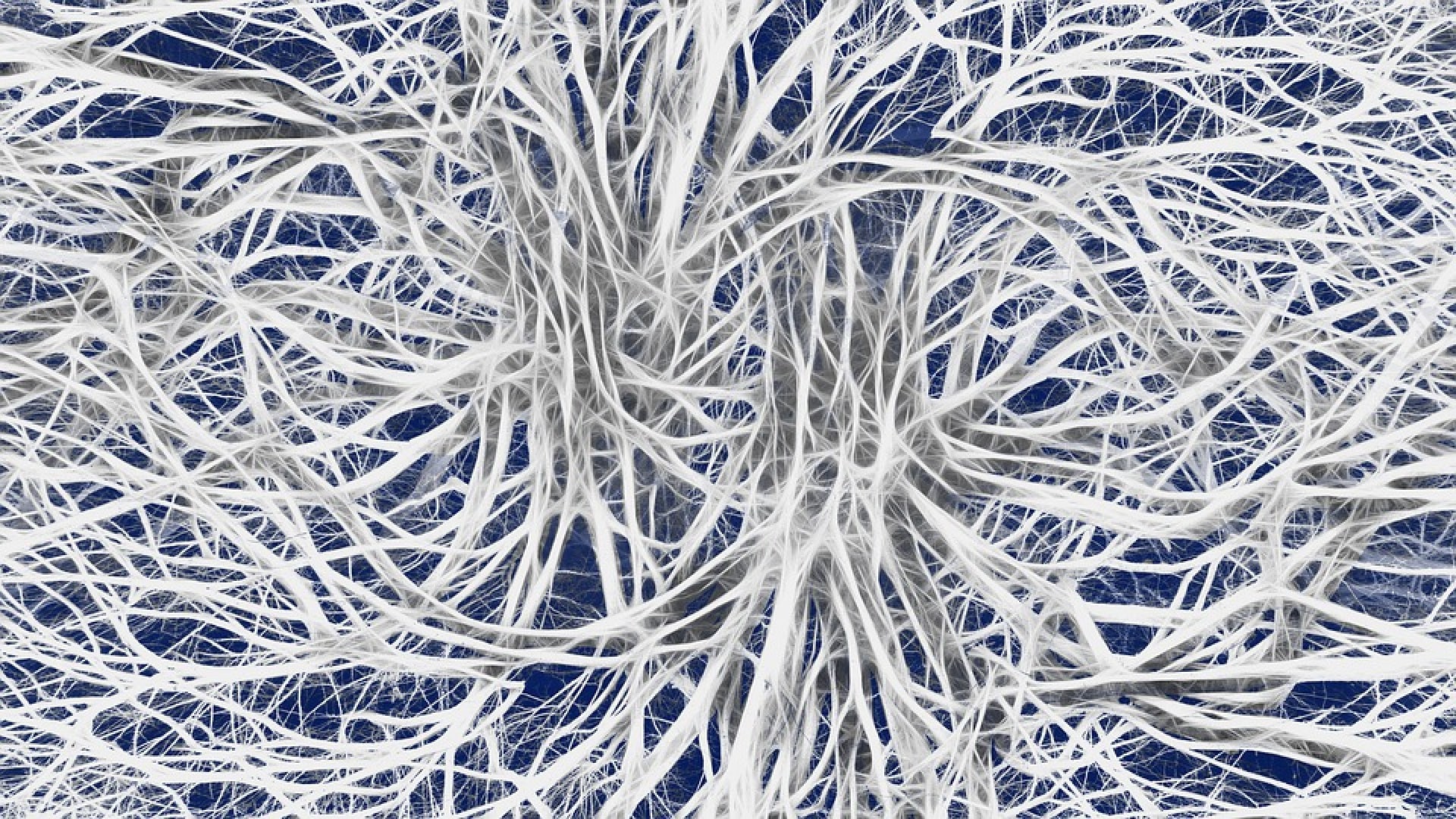 Fattore di Crescita Nervoso NGF | Scienze | Rai Scuola