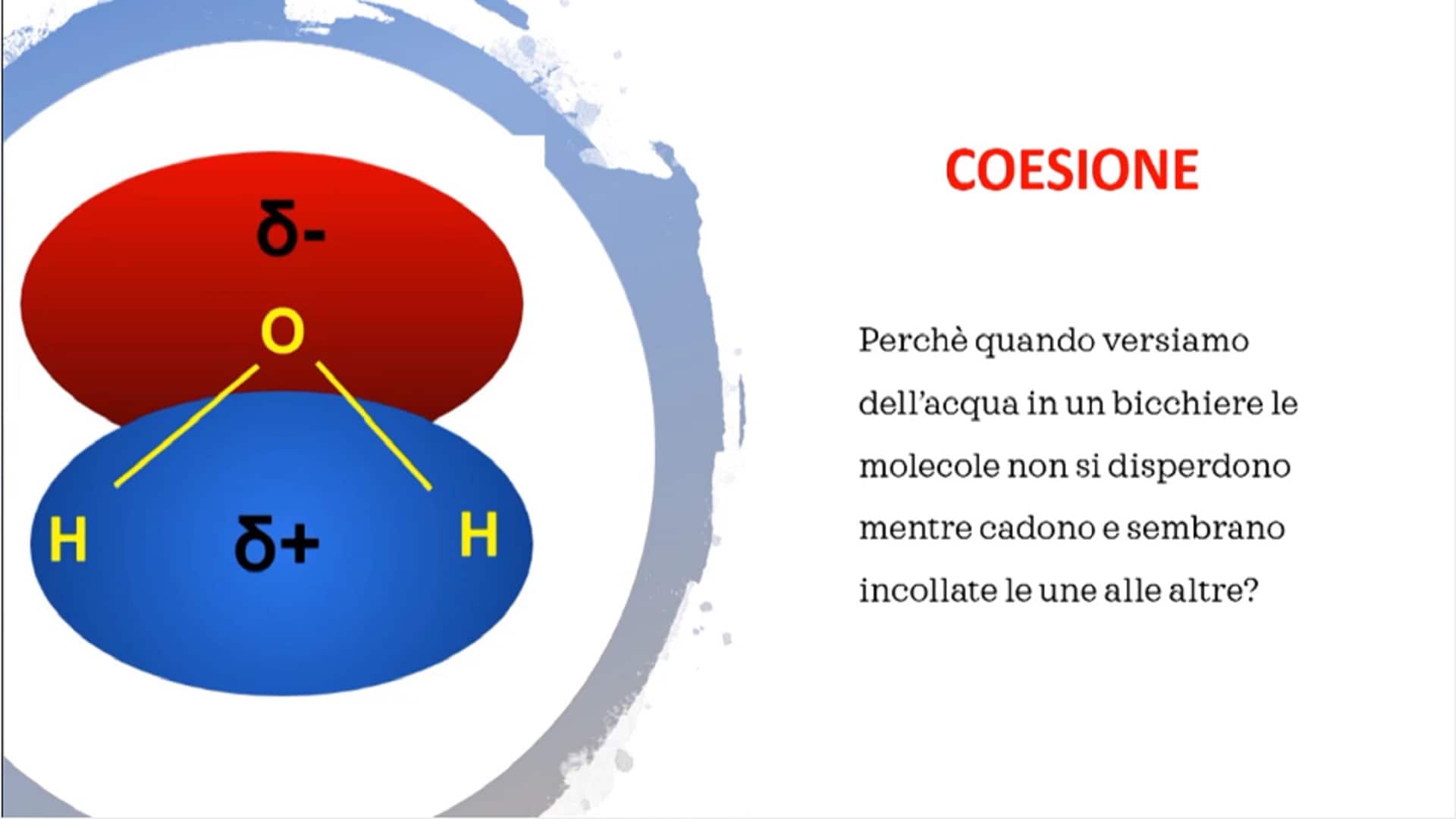 La coesione tra le molecole d'acqua - Scienze - Rai Scuola