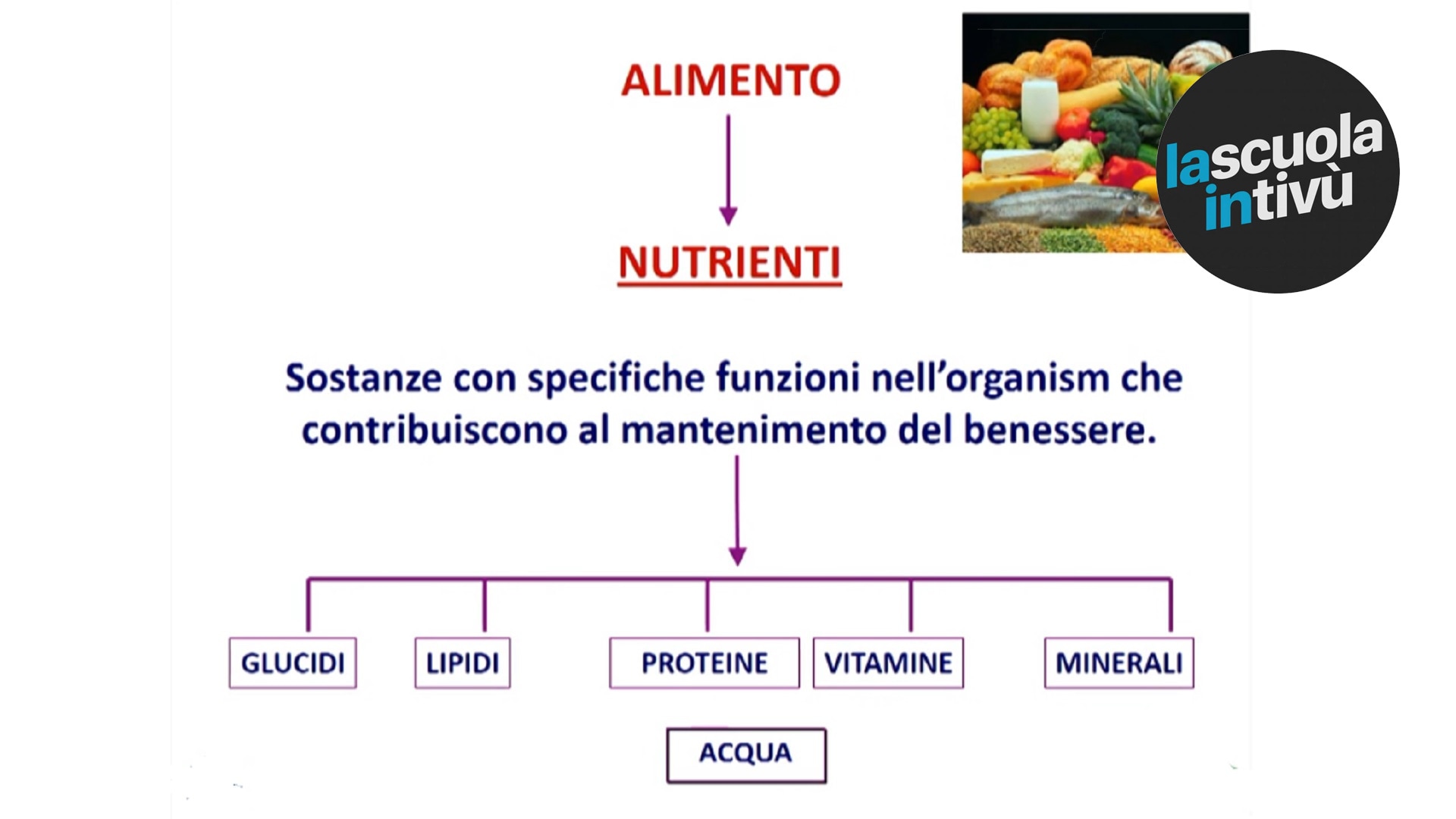 La dieta e i nutrienti | Medicina e salute | Rai Scuola