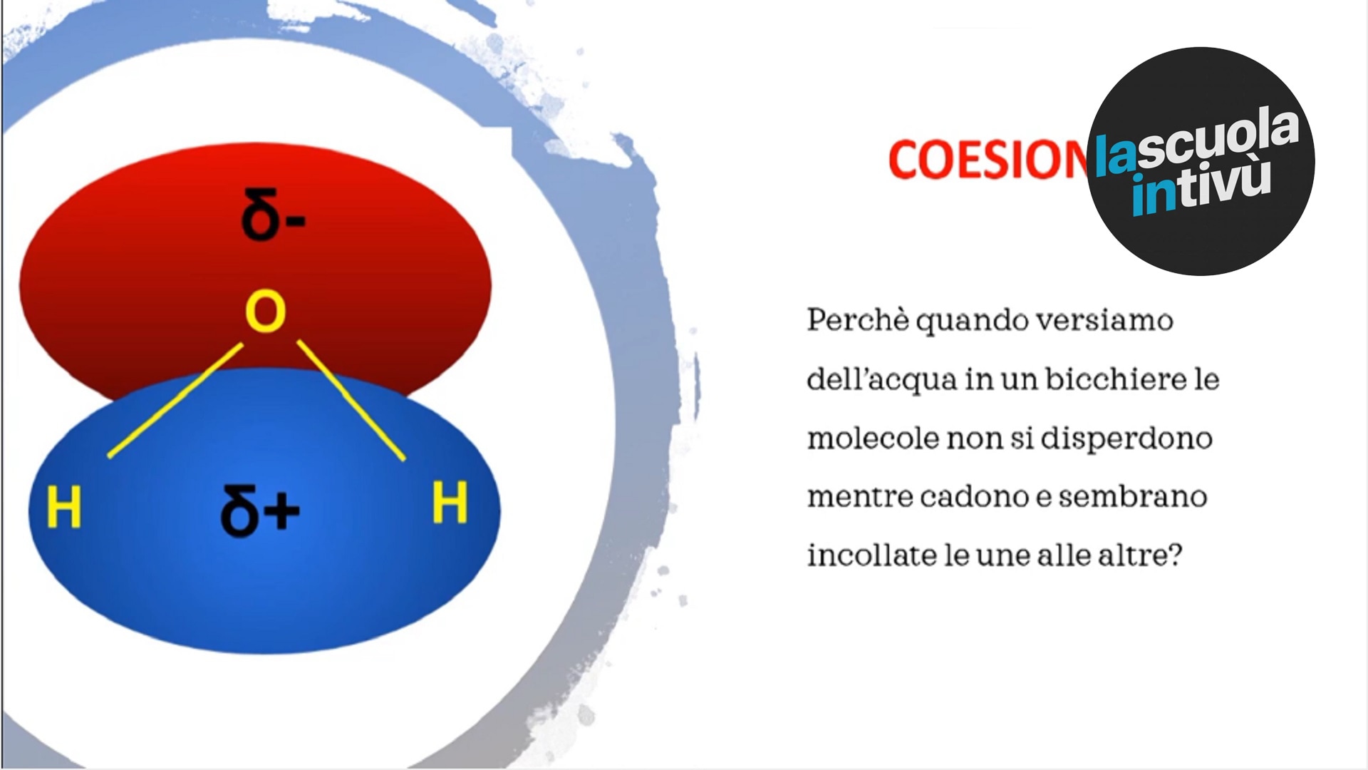 La coesione tra le molecole d'acqua | Scienze | Rai Scuola