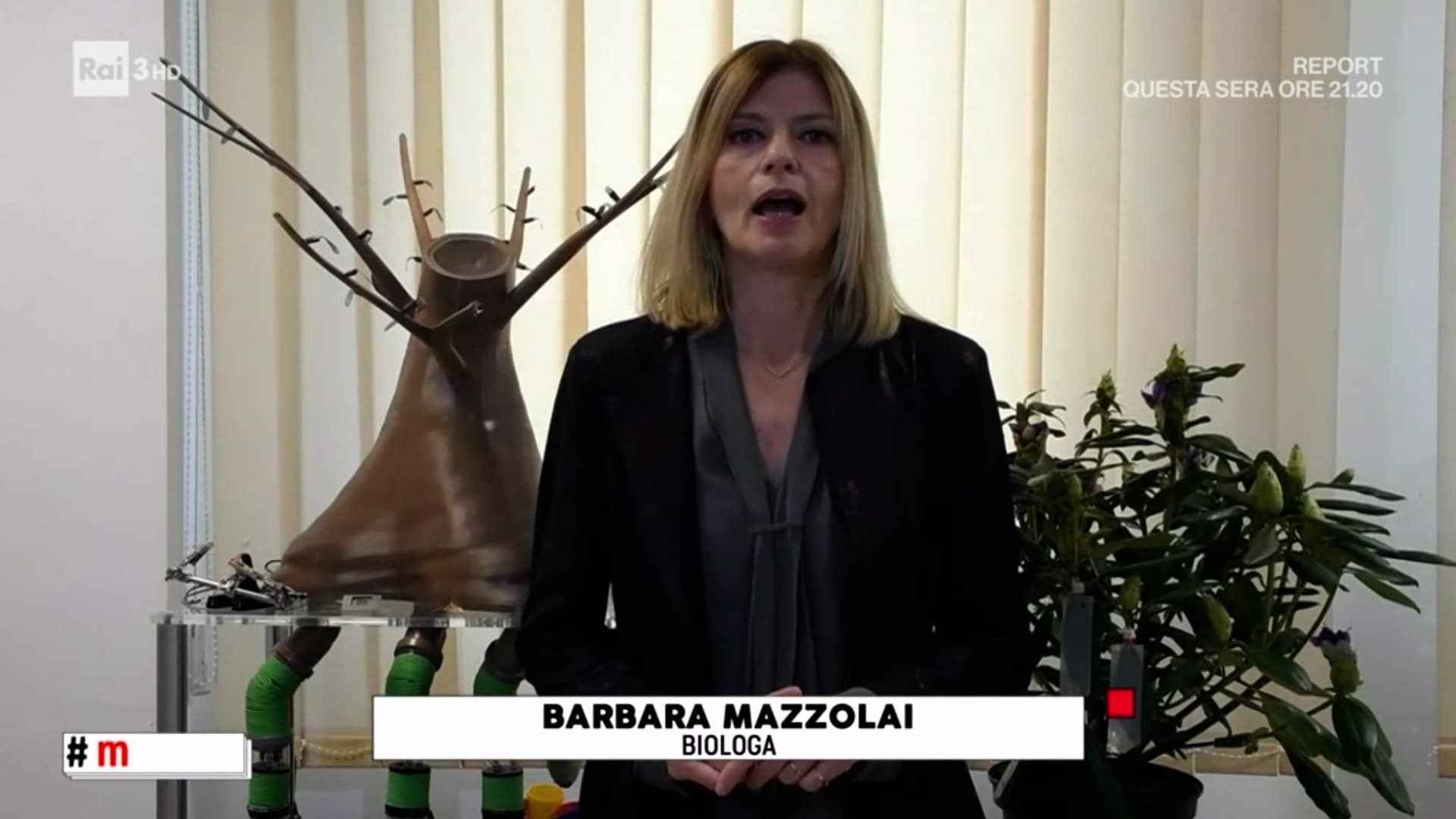 Barbara Mazzolai a #Maestri | Scienze | Rai Scuola