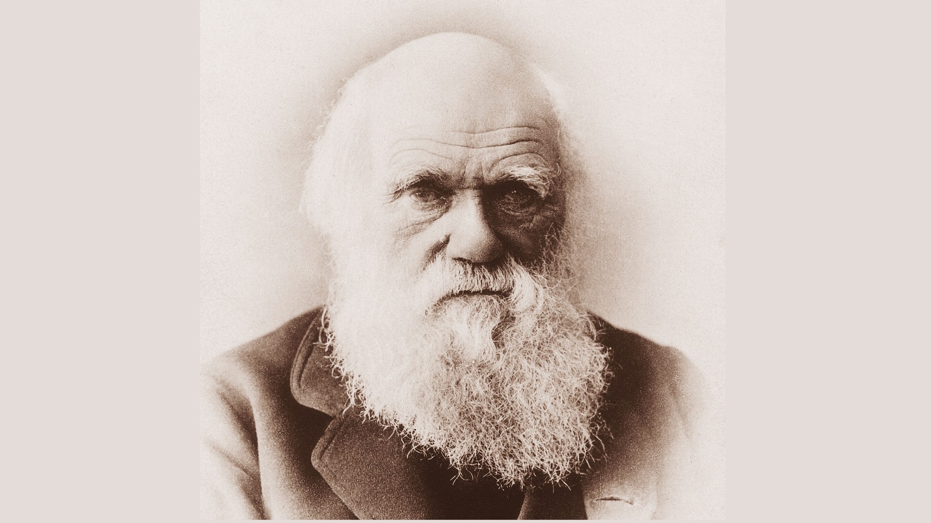 Darwin Day | Scienze | Rai Scuola